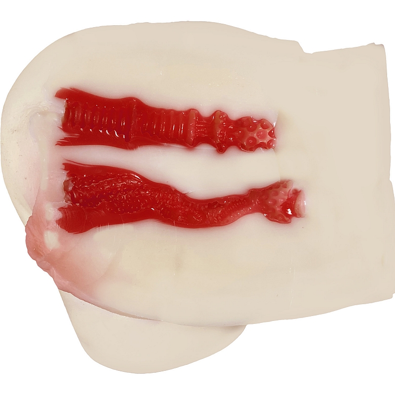 NPG - 四代目 mini 極上生腰 橋本有菜 (橋本ありな)|18DSC 成人用品店